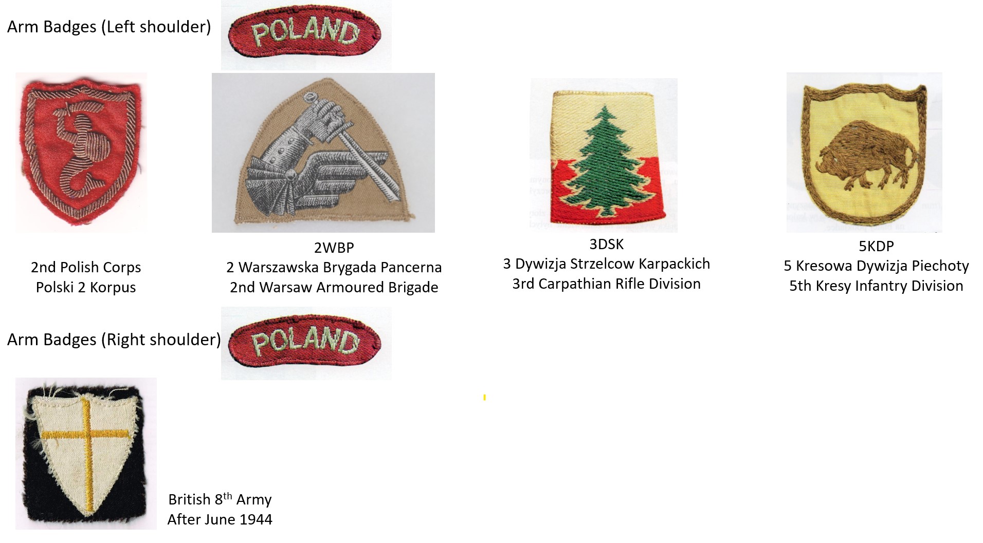Polish 2 Corps Uniform Identification – Frank Pleszak's Blogs